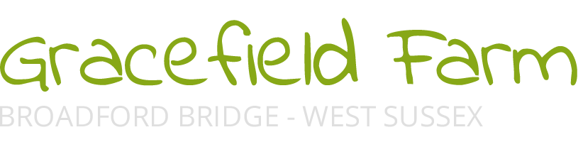 Gracefield Farm, Sussex, Point of Lay Chickens and Bantams,